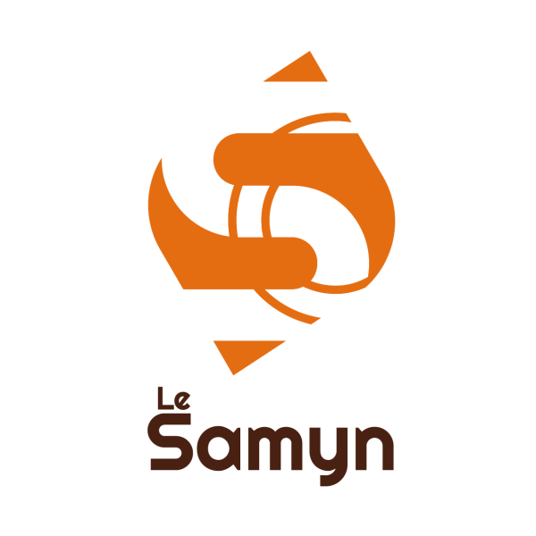 Le Samyn statistics and records